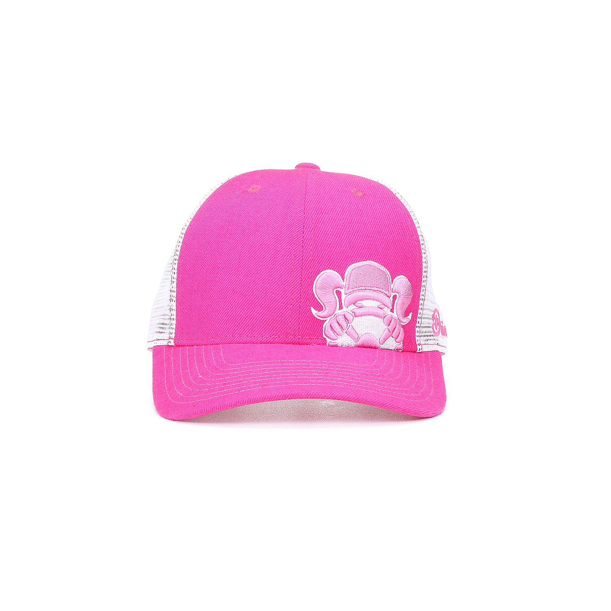 Trucker Girl Pink – The Driver Life